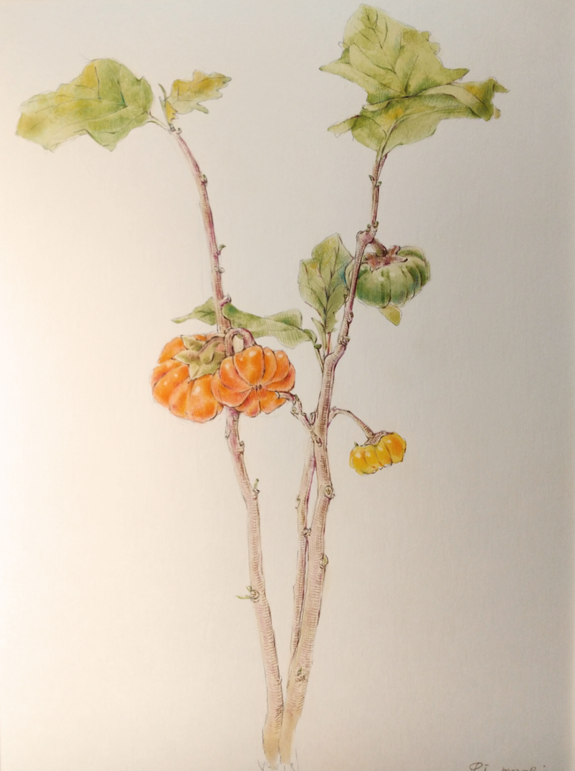 bountiful autumn | pi__mochi ｜インテリア絵画 アートの専門通販 thisisgallery（ディスイズギャラリー）